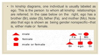 PRESENTATION 9 kinshipmarriageandthehousehold-converted.pptx