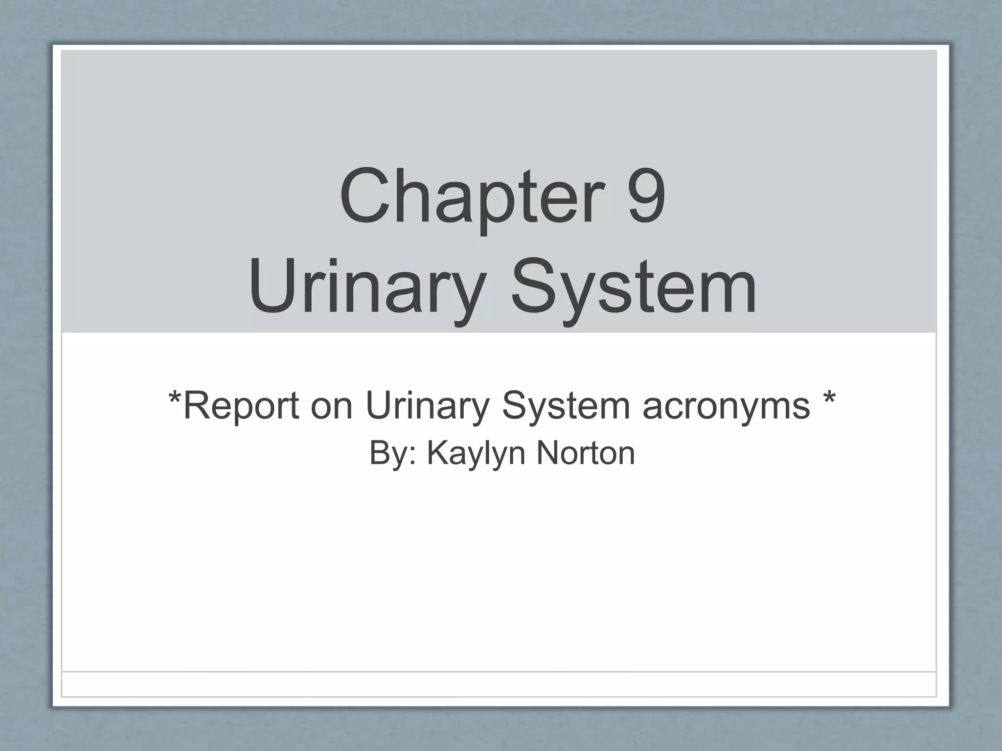 Presentation 9 urinary system | PPTX