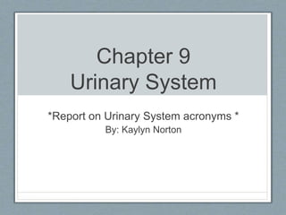 Presentation 9 urinary system | PPTX