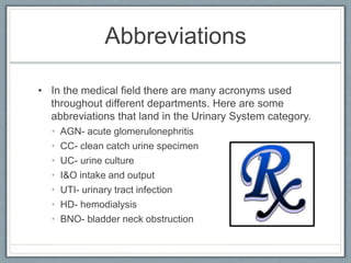 Presentation 9 urinary system | PPTX