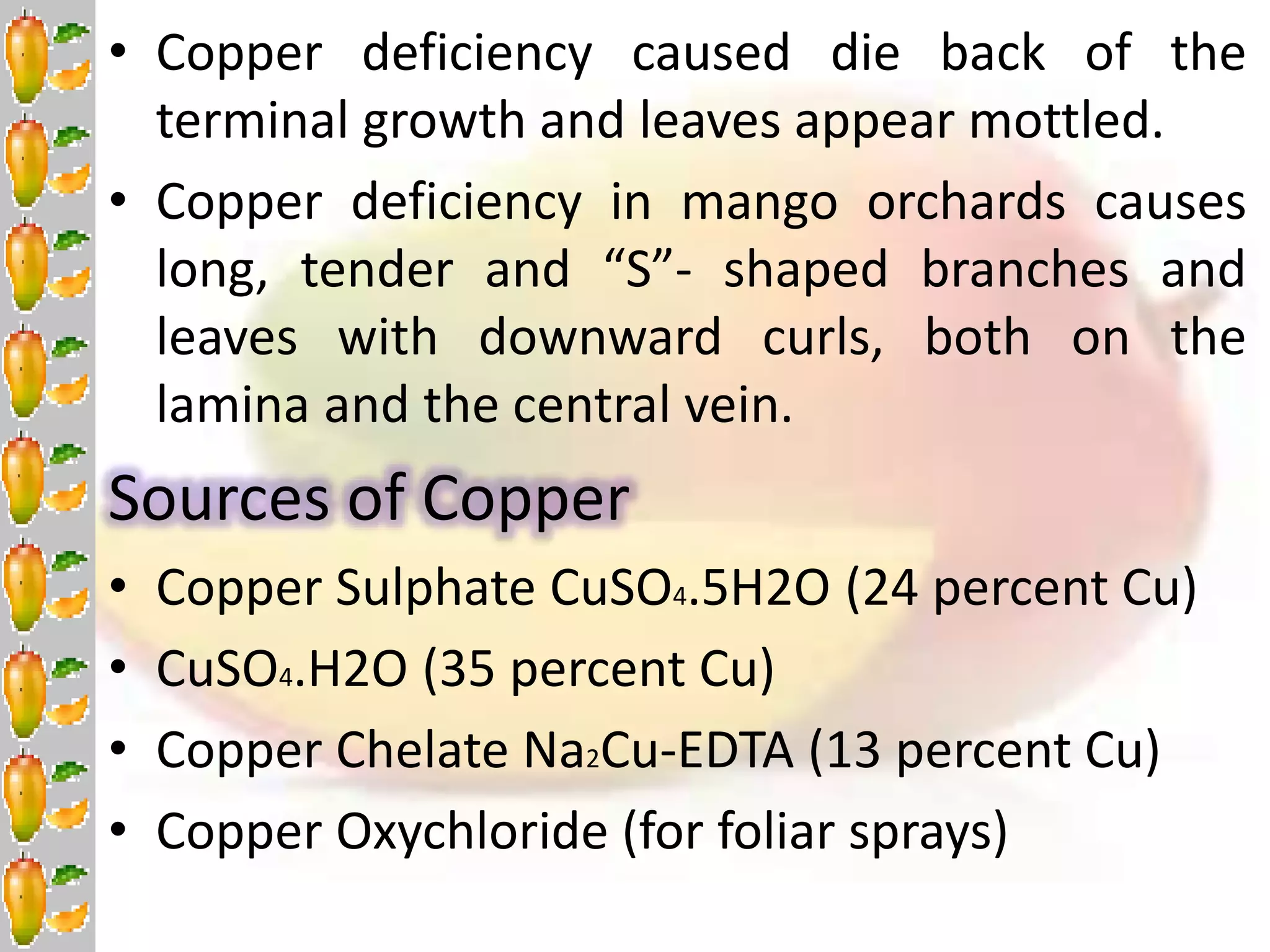 Role of Copper in Mango Nutrition | PPTX