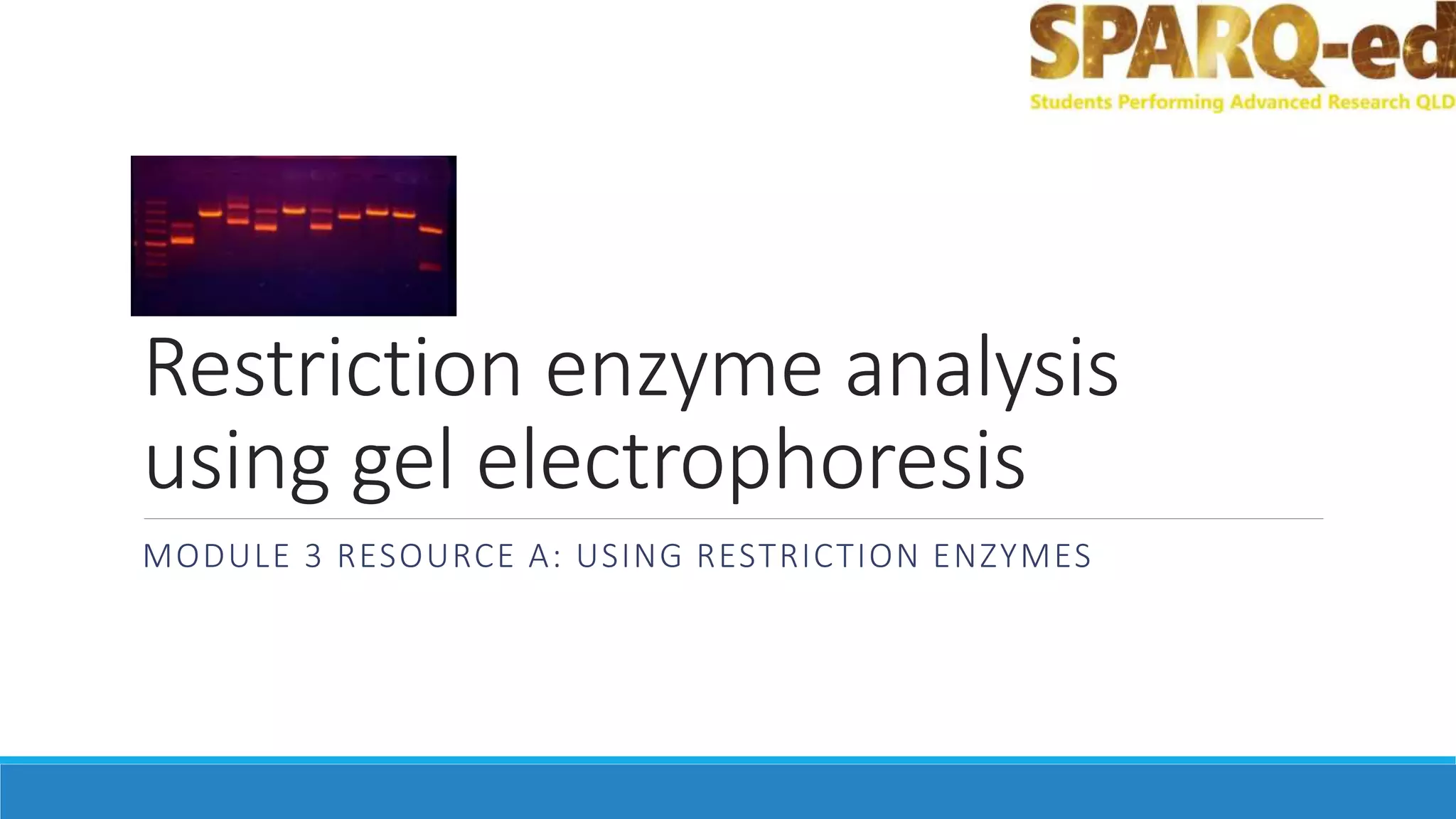 Presentation A - Using Restriction Enzymes.pptx