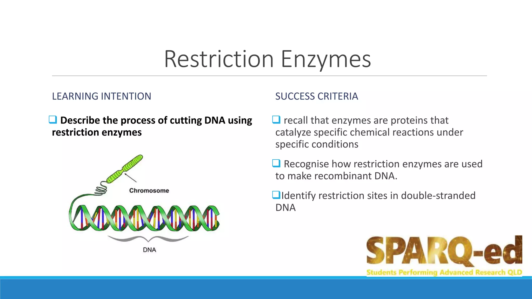 Presentation A - Using Restriction Enzymes.pptx