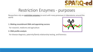 Presentation A - Using Restriction Enzymes.pptx