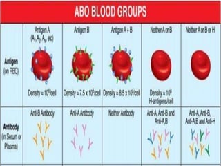 ABOi titers Methodology and Interpretation | PPTX