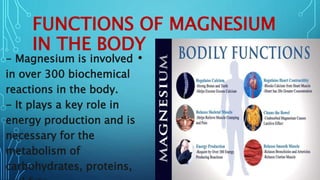 @Presentation about Magnesium.pptx | Diabetes | Diseases and Conditions