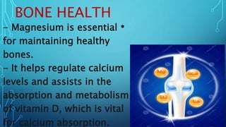 @Presentation about Magnesium.pptx