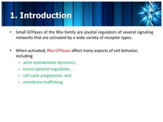 Rho GTPases as regulators of morphological neuroplasticity | PPT
