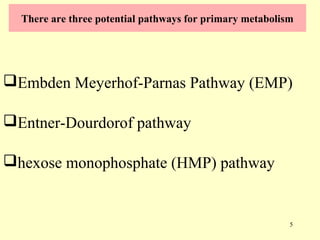 Current approaches toward production of secondary plant metabolites | PPT