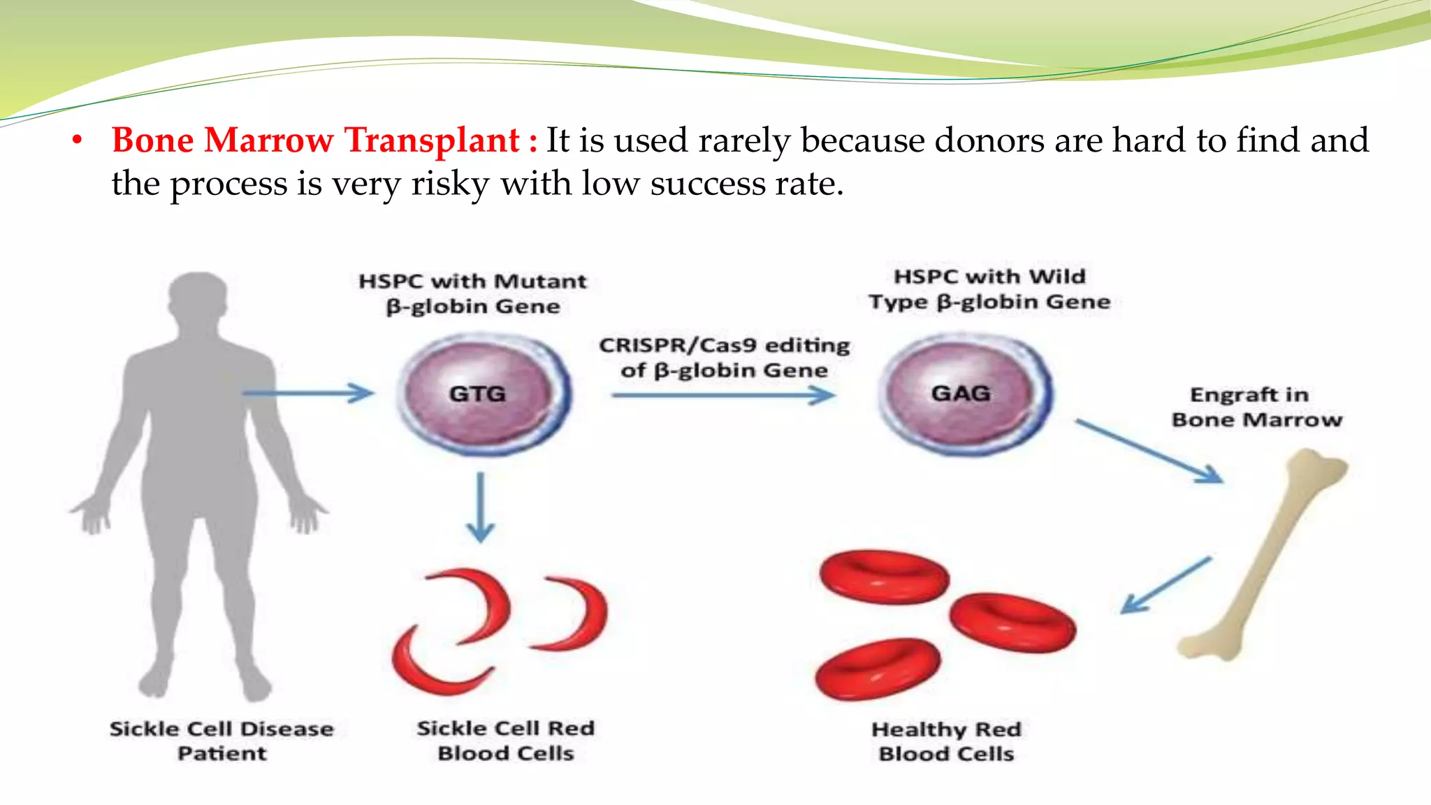 Presentation about sickle_cell_anemia_ | PPTX