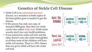 Presentation about sickle_cell_anemia_ | PPTX