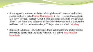 Presentation about sickle_cell_anemia_ | PPTX