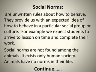 social norms | PPTX