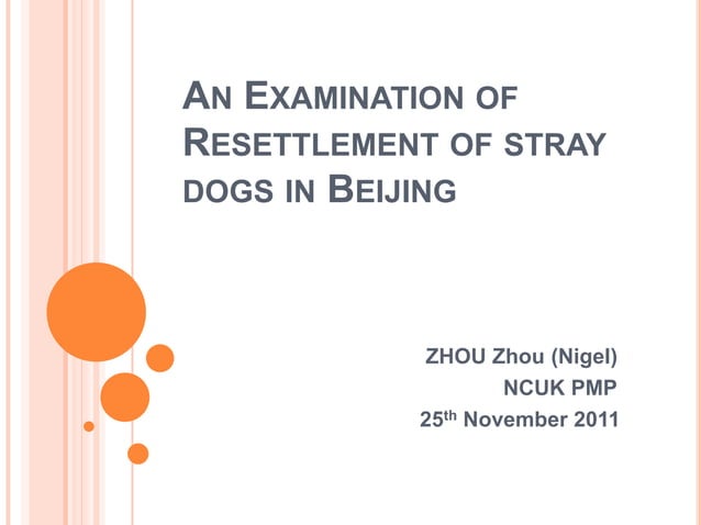 Presentation about stray dogs | PPTX