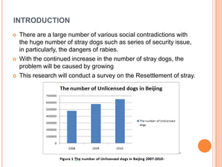 Presentation about stray dogs | PPTX