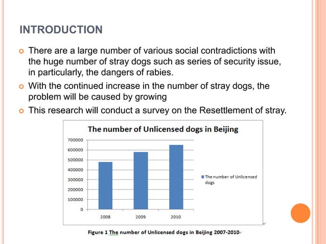 Presentation about stray dogs | PPTX