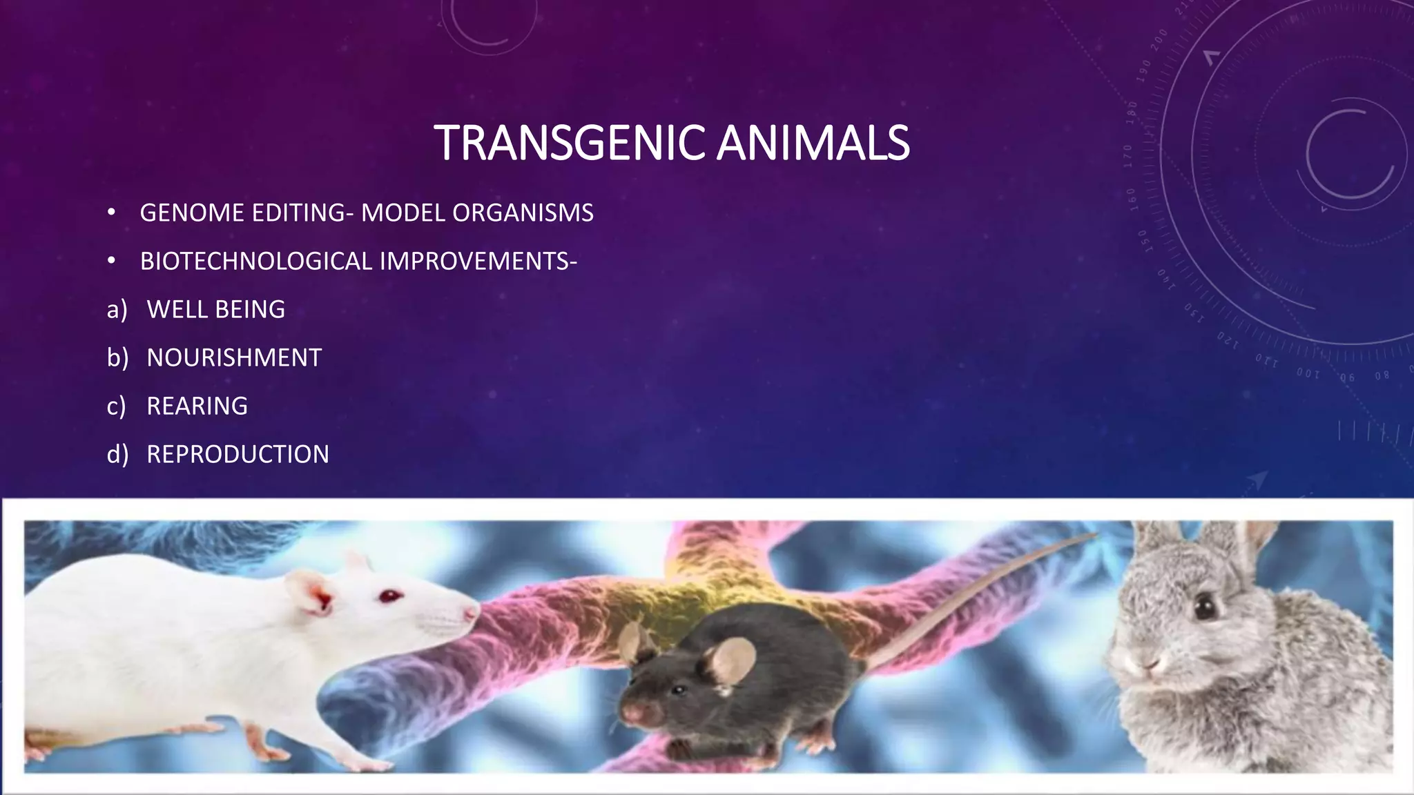 Future of innovations in transgenic animals | PPT
