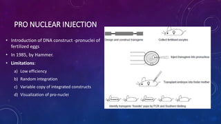 Future of innovations in transgenic animals | PPT