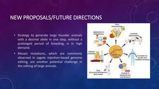 Future of innovations in transgenic animals | PPT