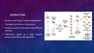Future of innovations in transgenic animals | PPTX