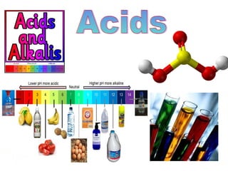 Presentation Acids | PPT
