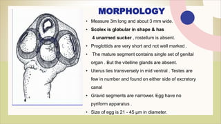 A presentation on Ruminant parasites . | PPTX