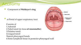 Presentation adenoidectomy | PPTX
