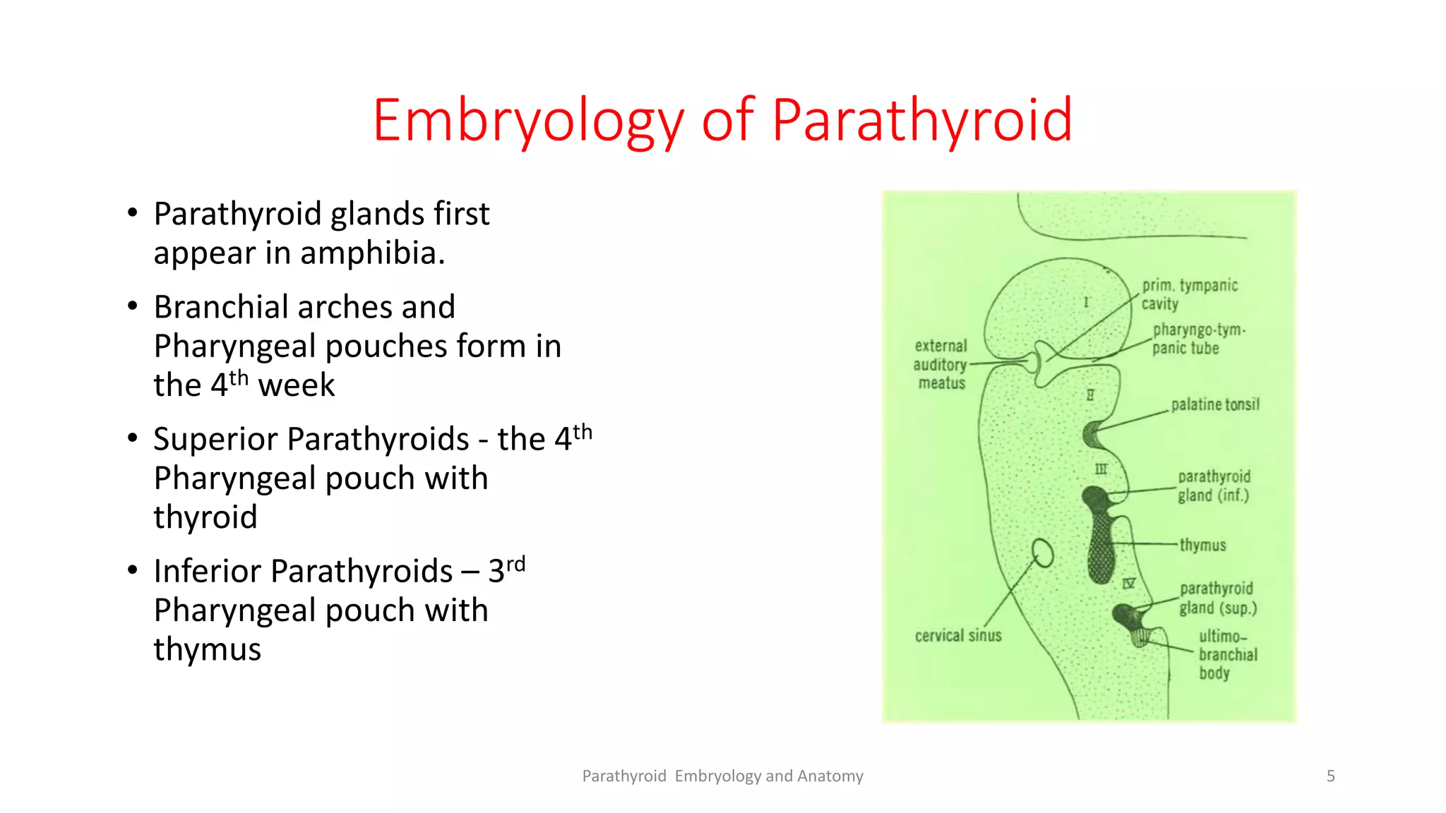 parathyroid adenoma | PPTX