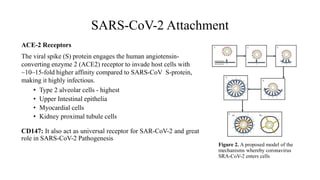 Advanced topic of virology.pptx