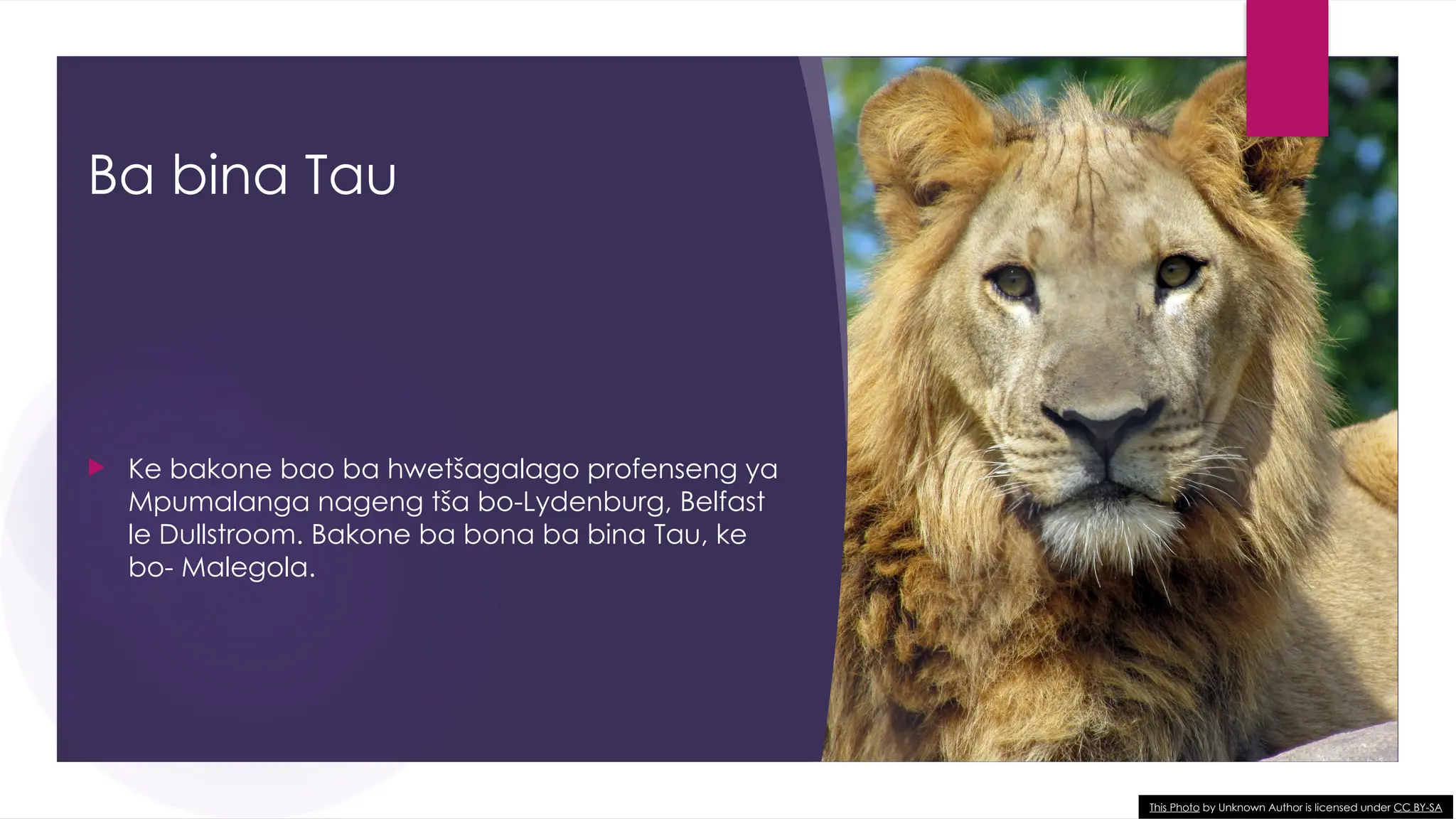 BAKONE Hatfield Presentation AFT 121.pptx