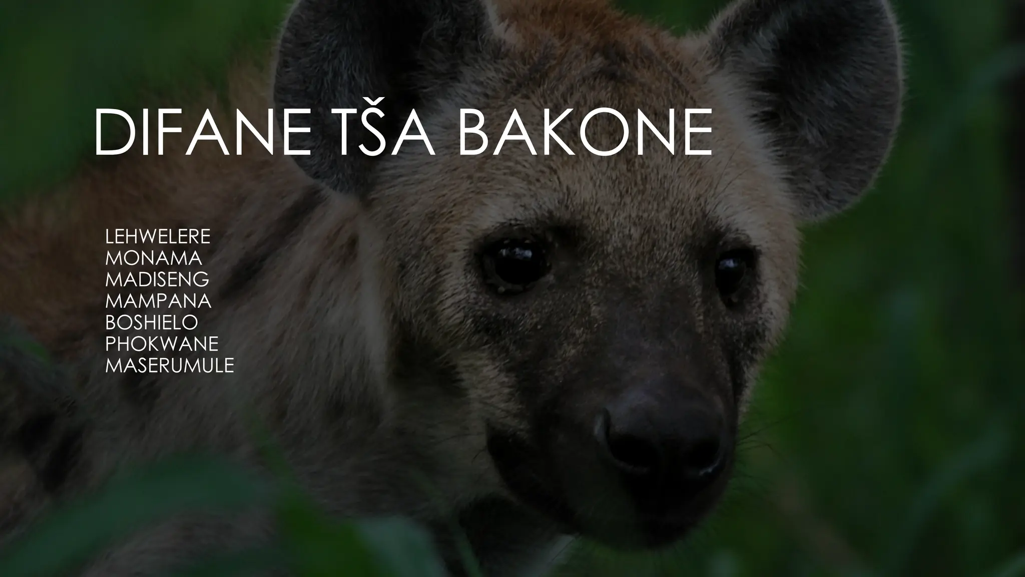 BAKONE Hatfield Presentation AFT 121.pptx