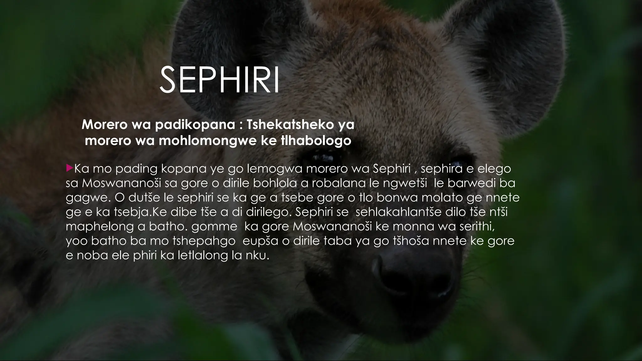 BAKONE Hatfield Presentation AFT 121.pptx