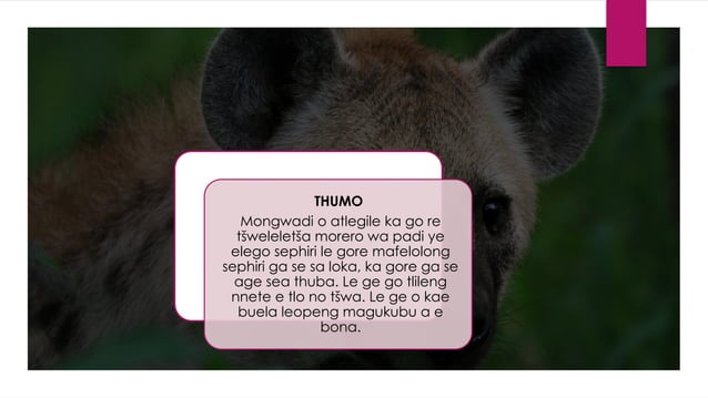 BAKONE Hatfield Presentation AFT 121.pptx