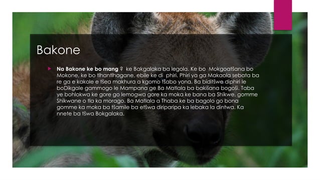 BAKONE Hatfield Presentation AFT 121.pptx