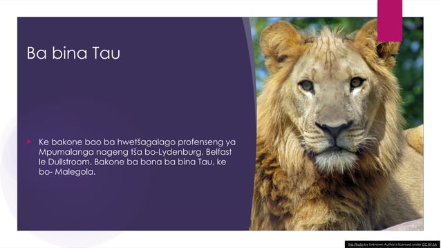 BAKONE Hatfield Presentation AFT 121.pptx