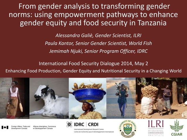 Gender: From gender analysis to transforming gender norms: using ...