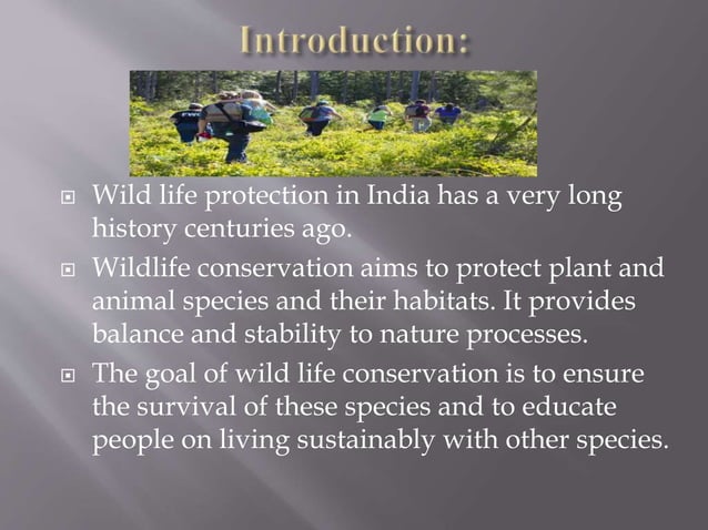 wild life conservation | PPTX | Zoos & Aquariums | Attractions