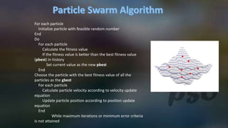 Particle Swarm Optimization | PPTX