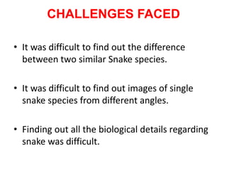 Expert System for Detecting and Preventing Human Death from Snake Bite ...