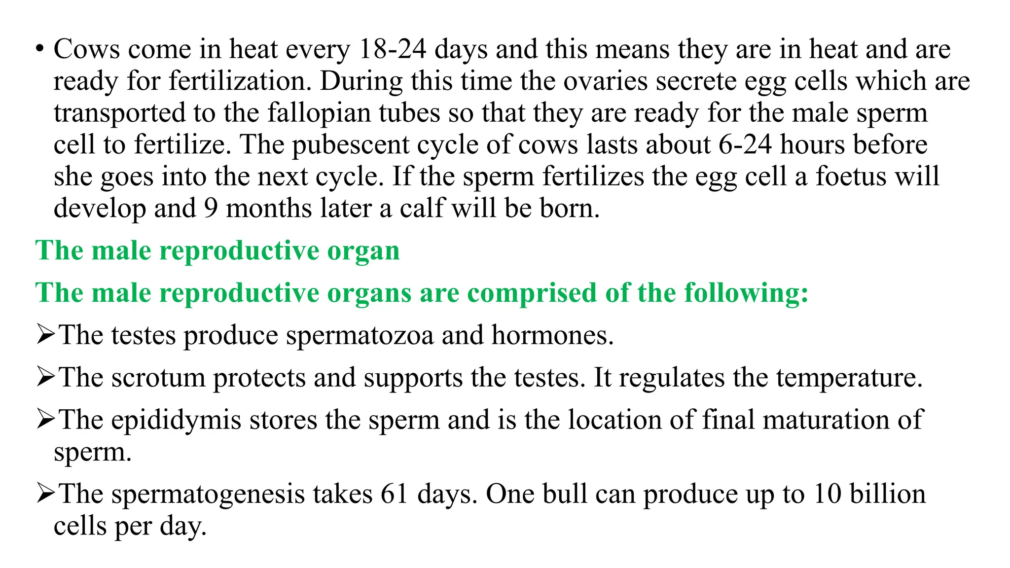 Presentation preform Artificial insemination .pptx