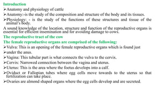 Presentation preform Artificial insemination .pptx