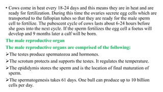 Presentation preform Artificial insemination .pptx