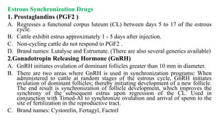 Presentation preform Artificial insemination .pptx