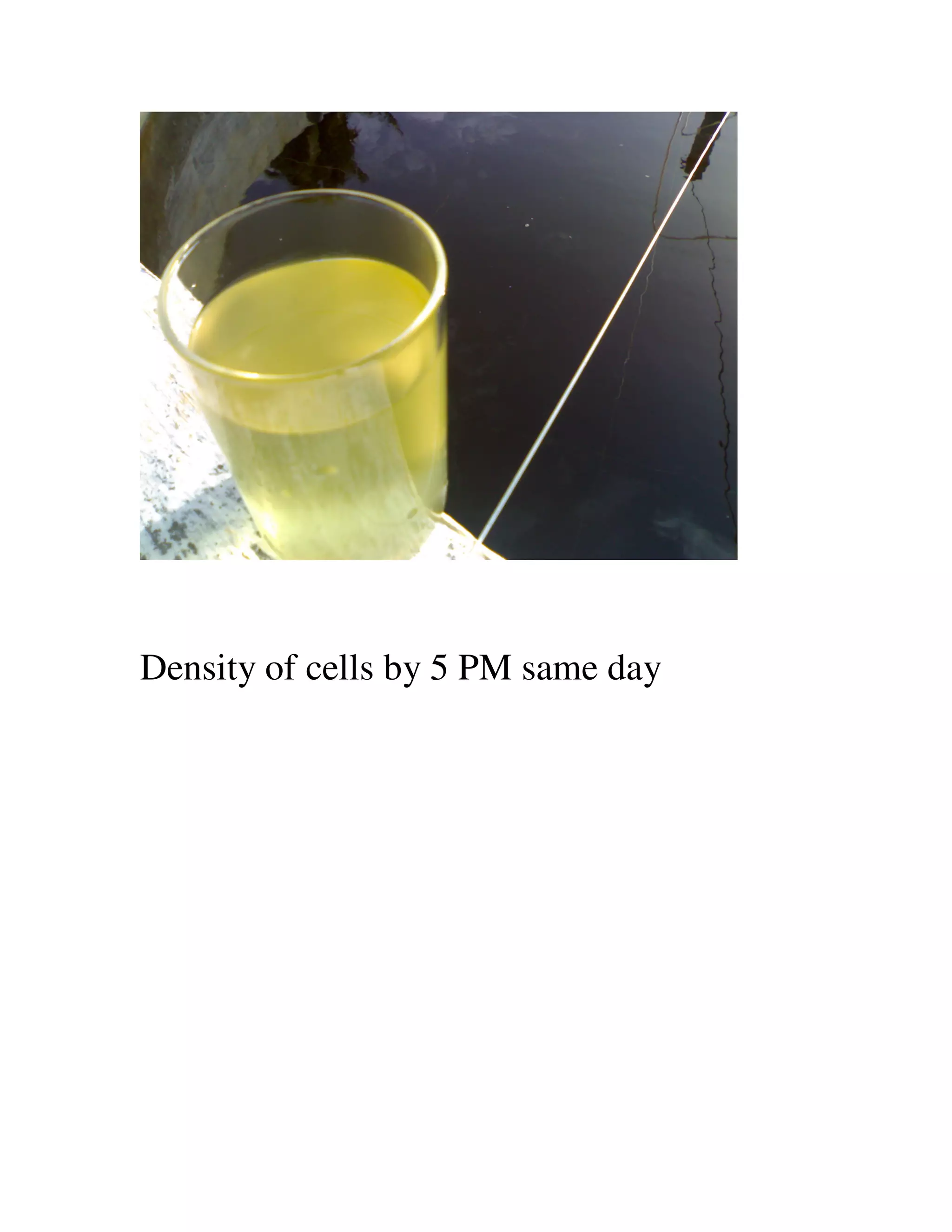Low cost algae biomass production | PDF