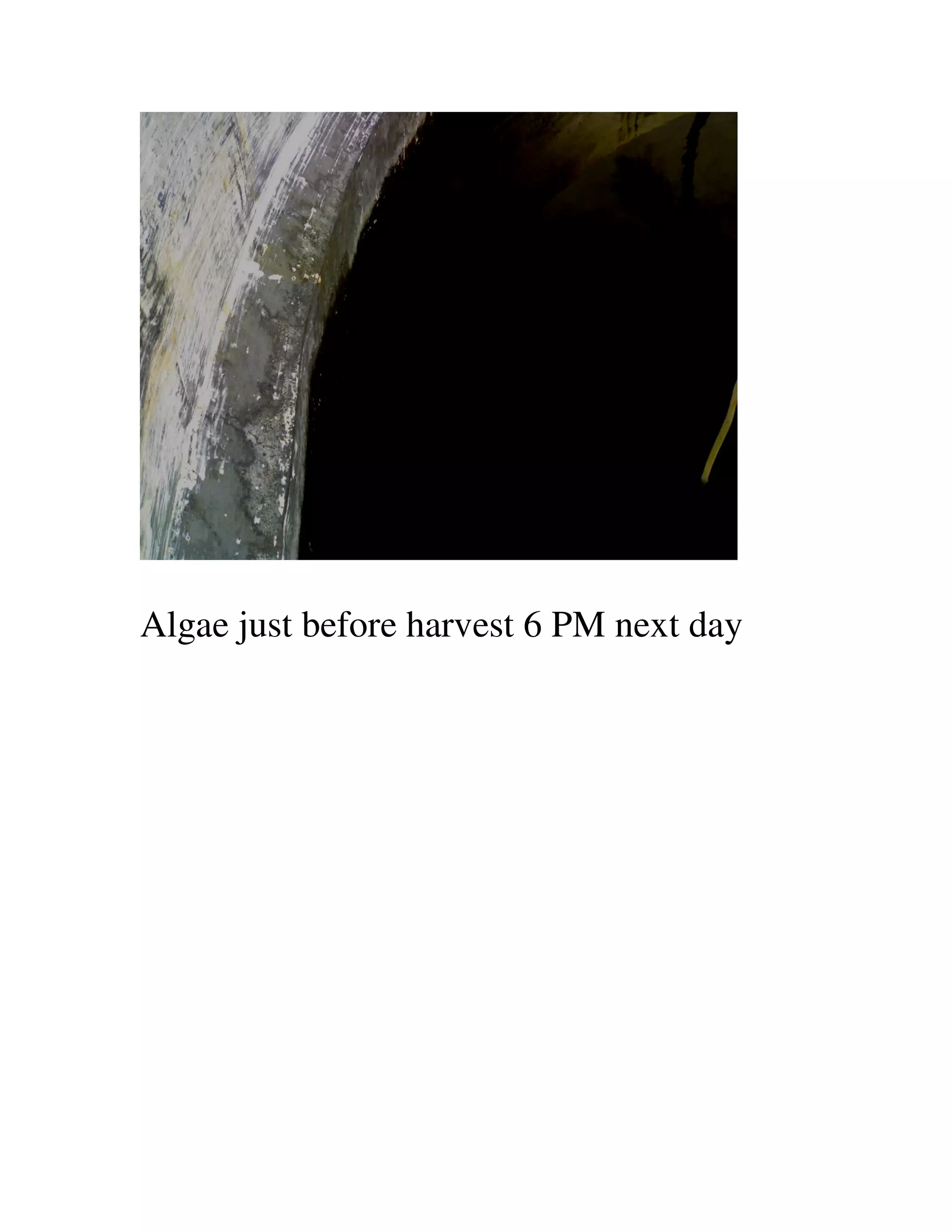 Low cost algae biomass production | PDF