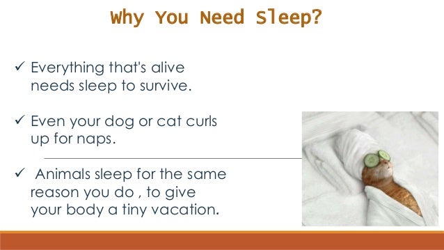 Why we need sleep?