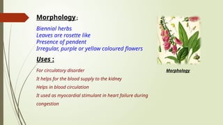 Presentation ALIBHA-1 (botany) hons 2 final form.pptx