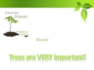 Importance of Trees | PPTX