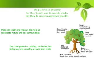 Importance of Trees | PPTX