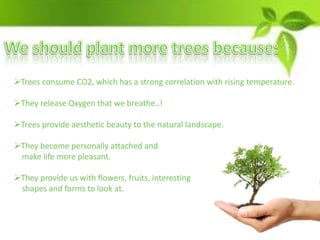 Importance of Trees | PPTX